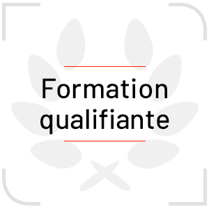 Formation Qualifiante Conseiller Clientèle